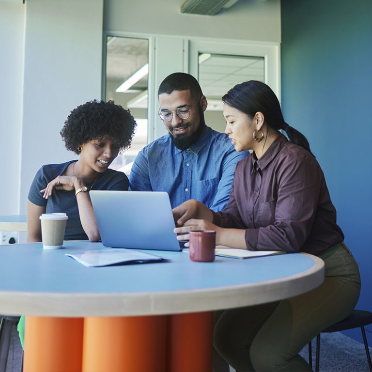 Racial diversity in the BC Public Service - Addressing Systemic Racism ...